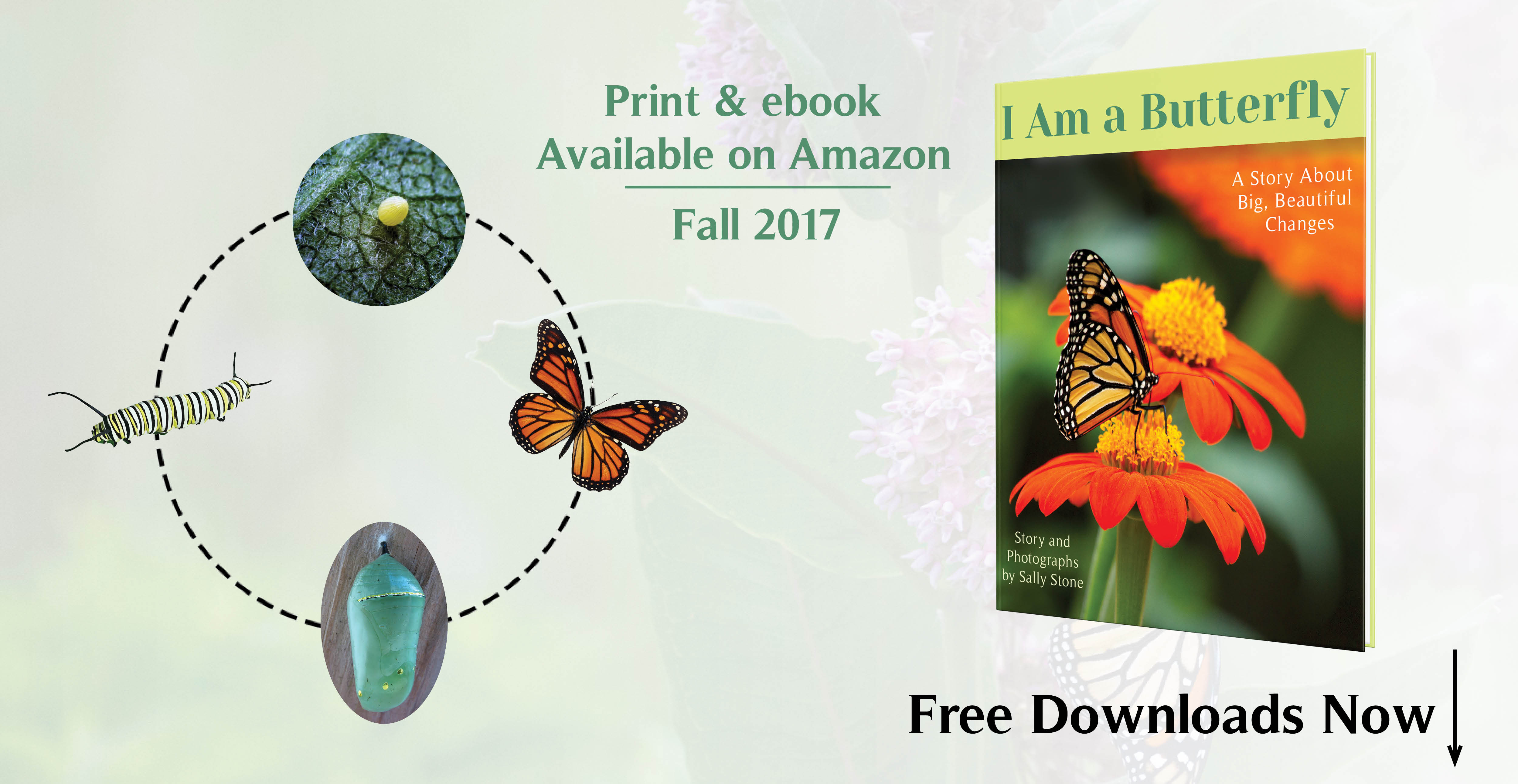 I Am A Butterfly Free Downloads - Positive Change.. One Word At A Time